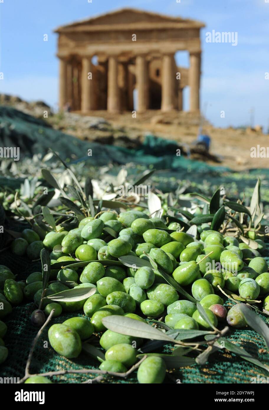 In Agrigento's majestic Valley of the Temples, a site classified by ...