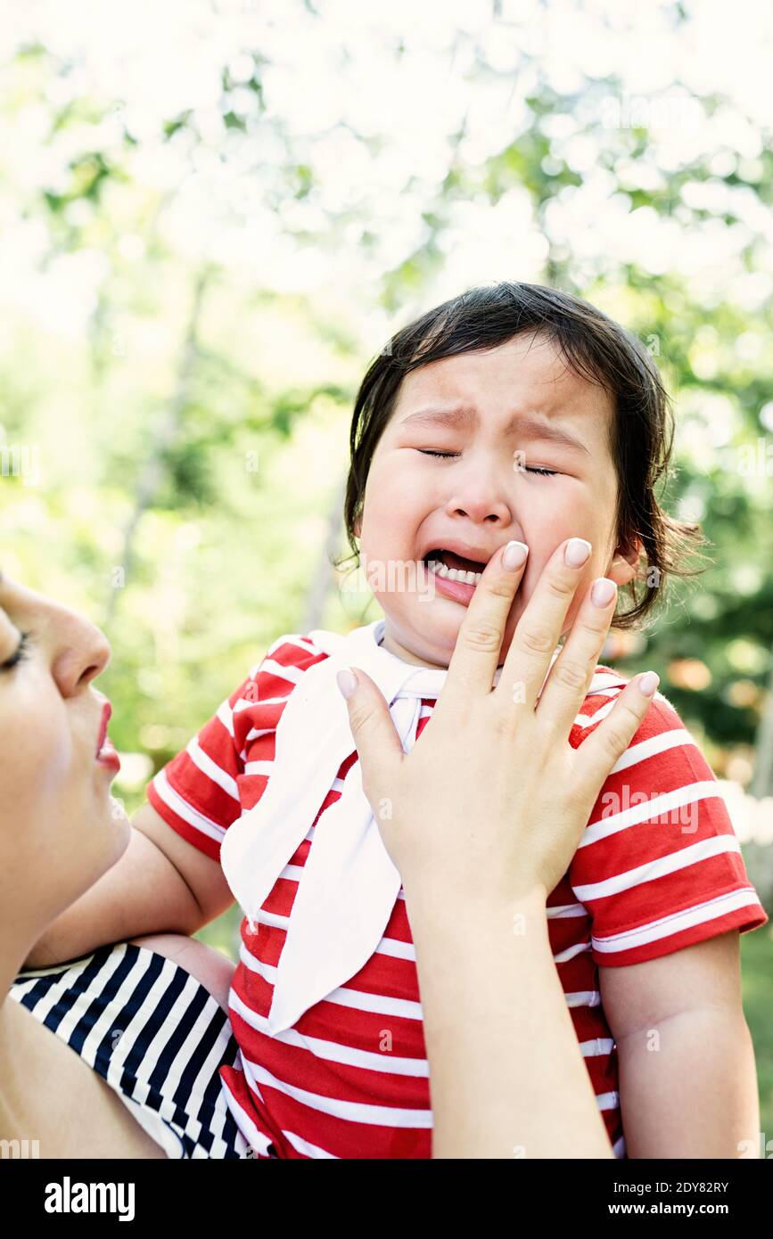 Crying Trees High Resolution Stock Photography and Images - Alamy