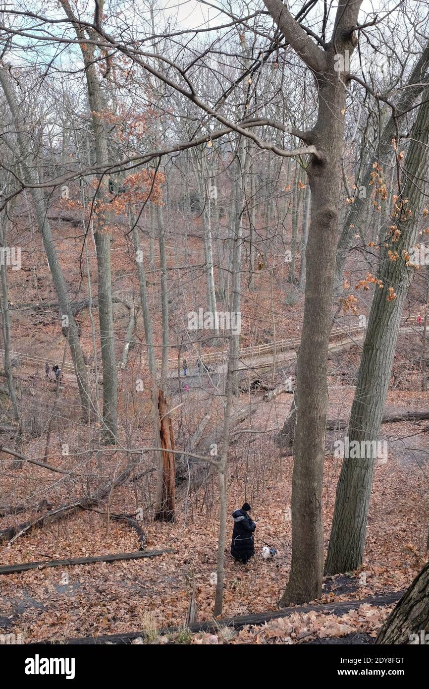 Toronto ravine trail Stock Photo - Alamy
