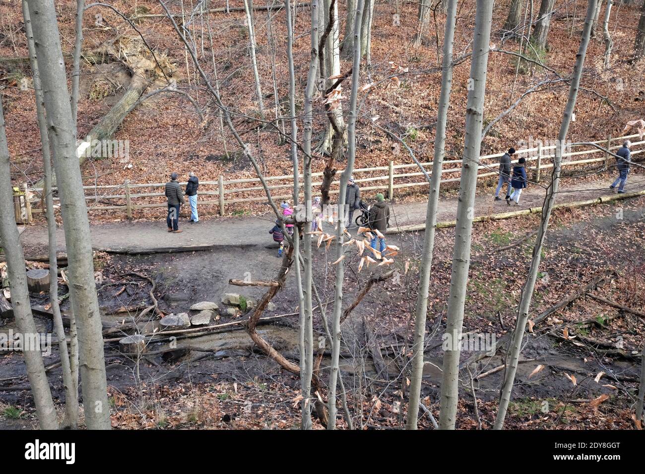 Toronto ravine trail Stock Photo - Alamy