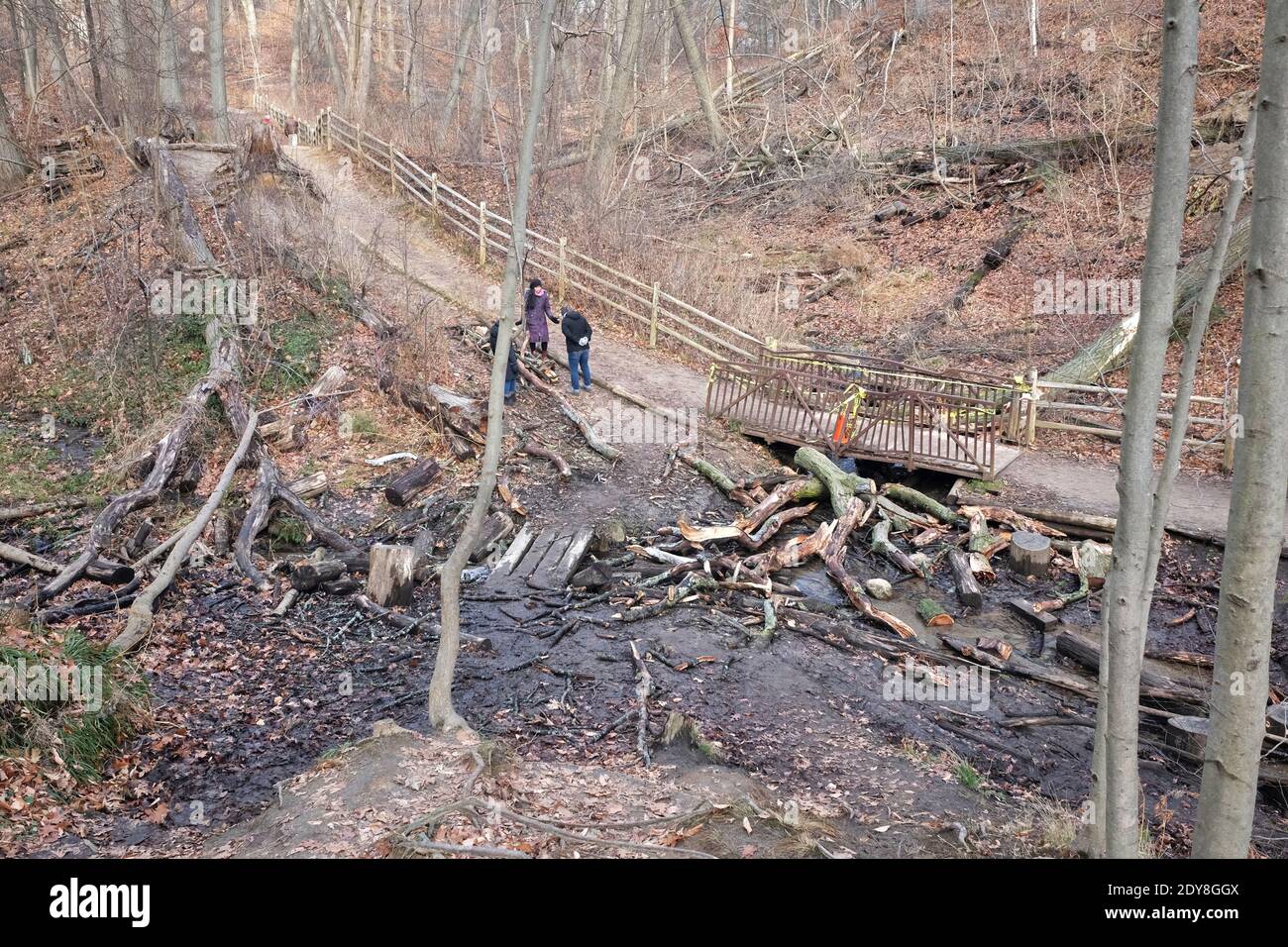 Toronto ravine trail Stock Photo - Alamy