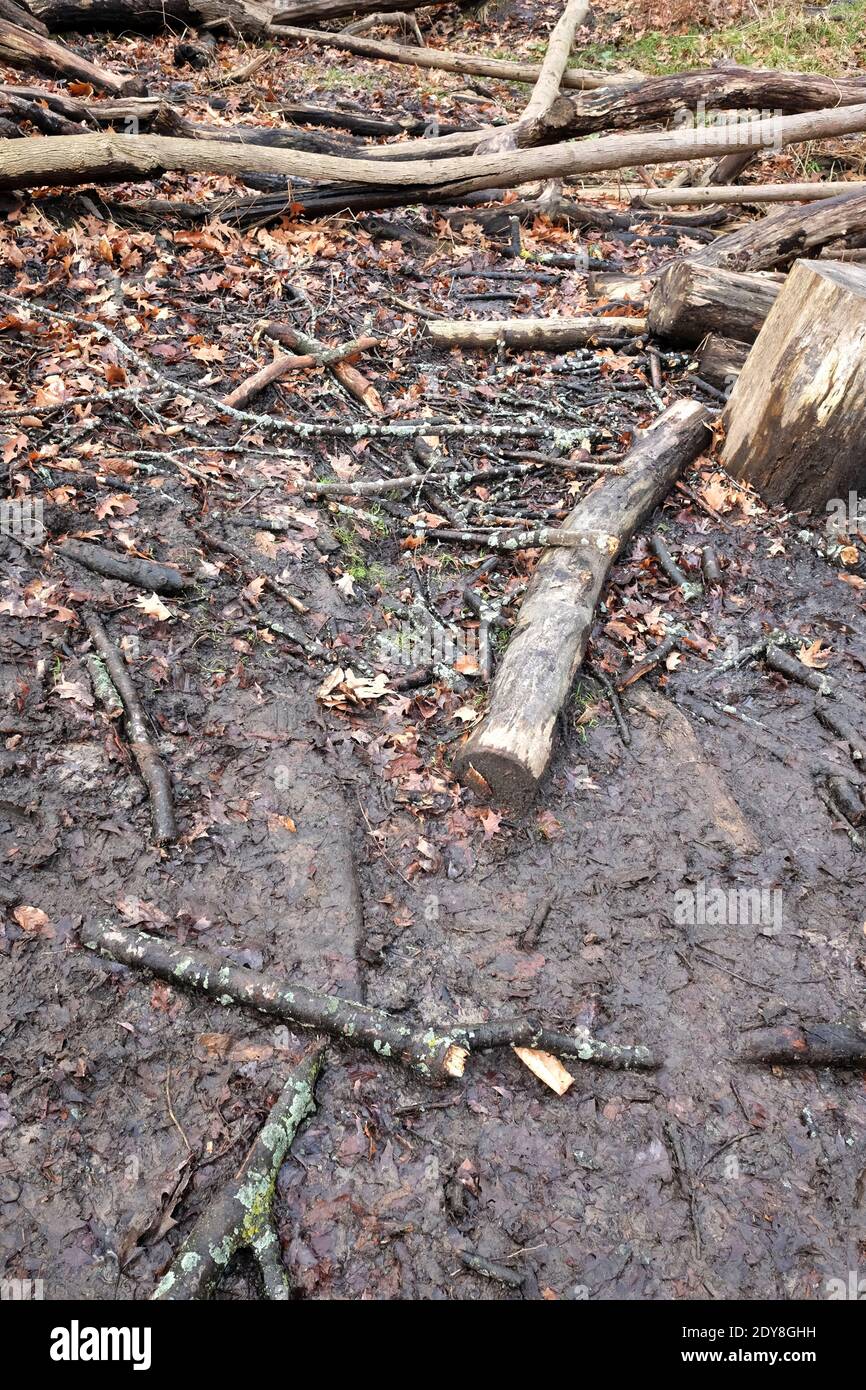 Toronto ravine trail Stock Photo - Alamy