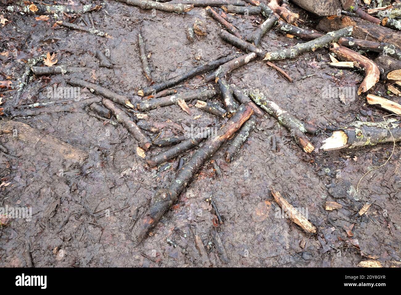 Toronto ravine trail Stock Photo - Alamy