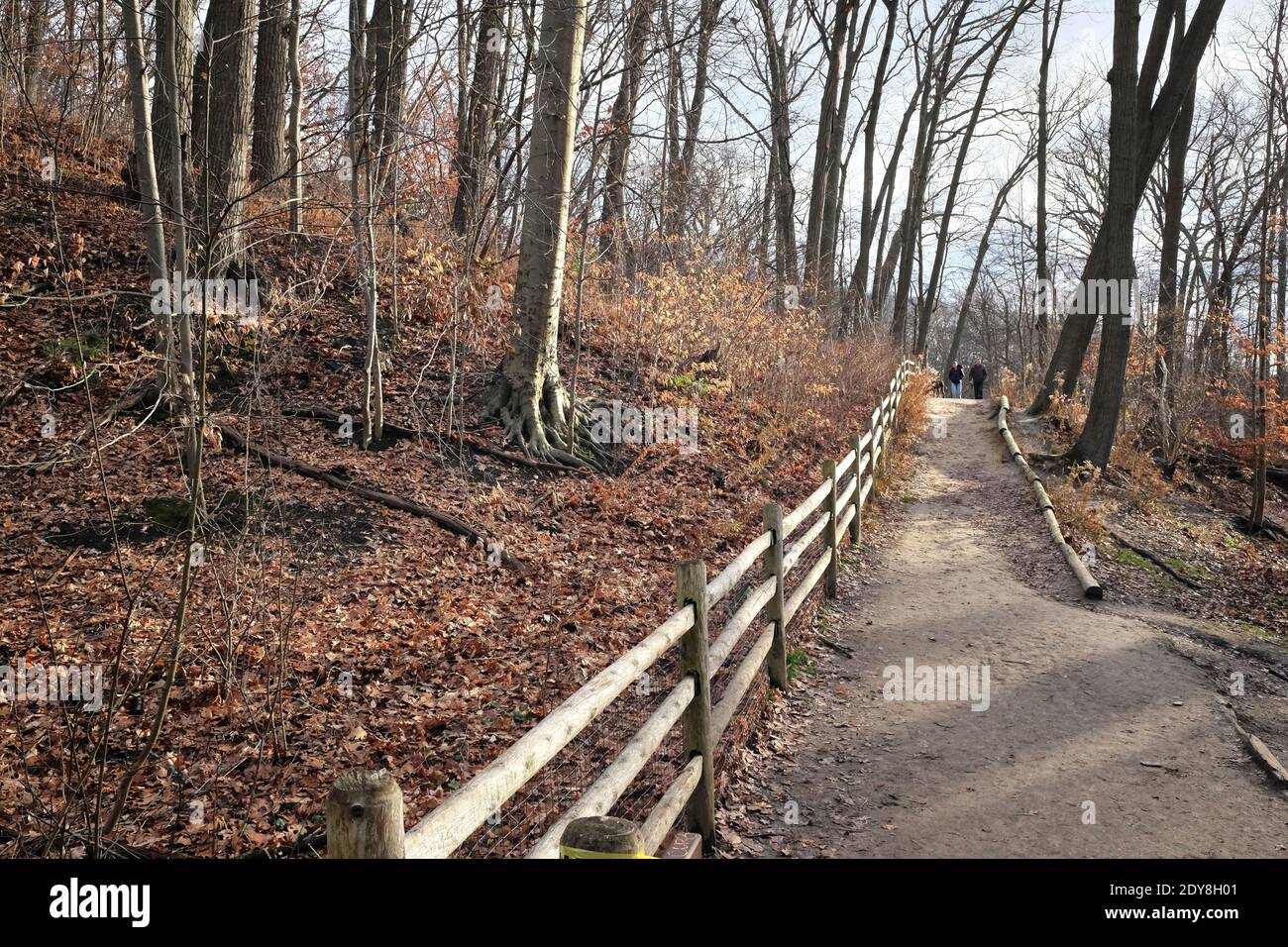 Toronto ravine hi-res stock photography and images - Alamy