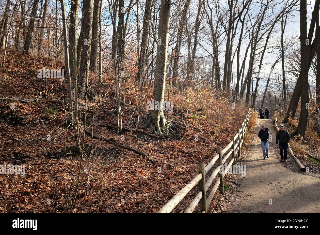 Toronto ravine trail Stock Photo - Alamy