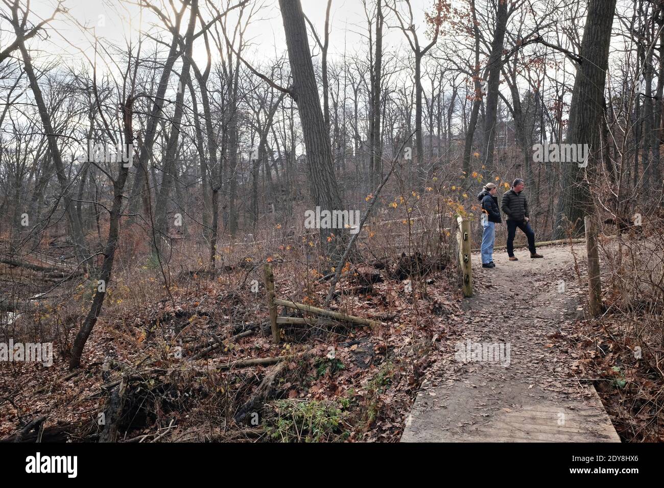 Toronto ravine trail Stock Photo - Alamy
