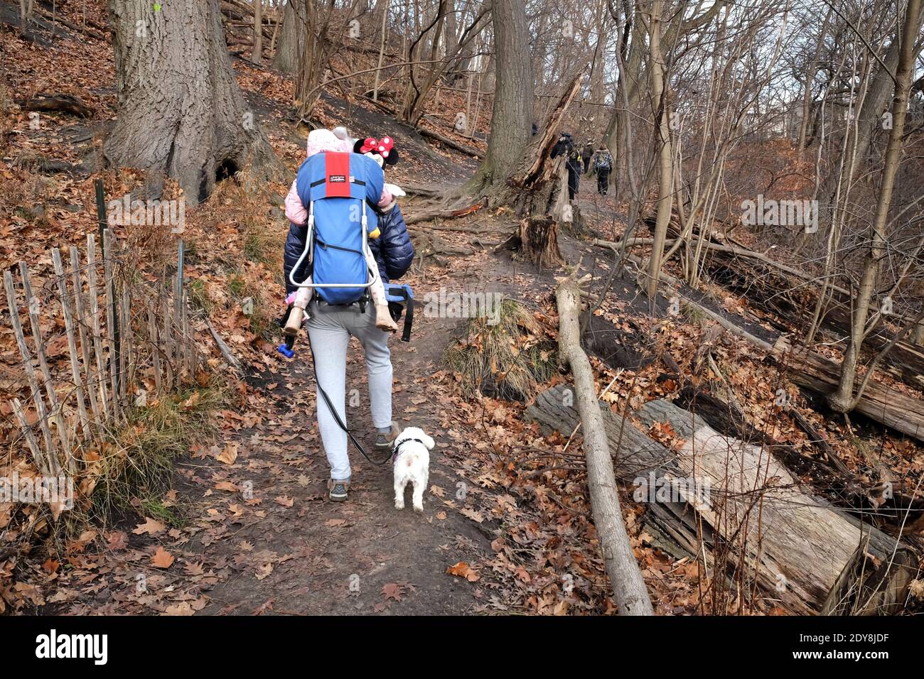 Toronto ravine trail Stock Photo - Alamy