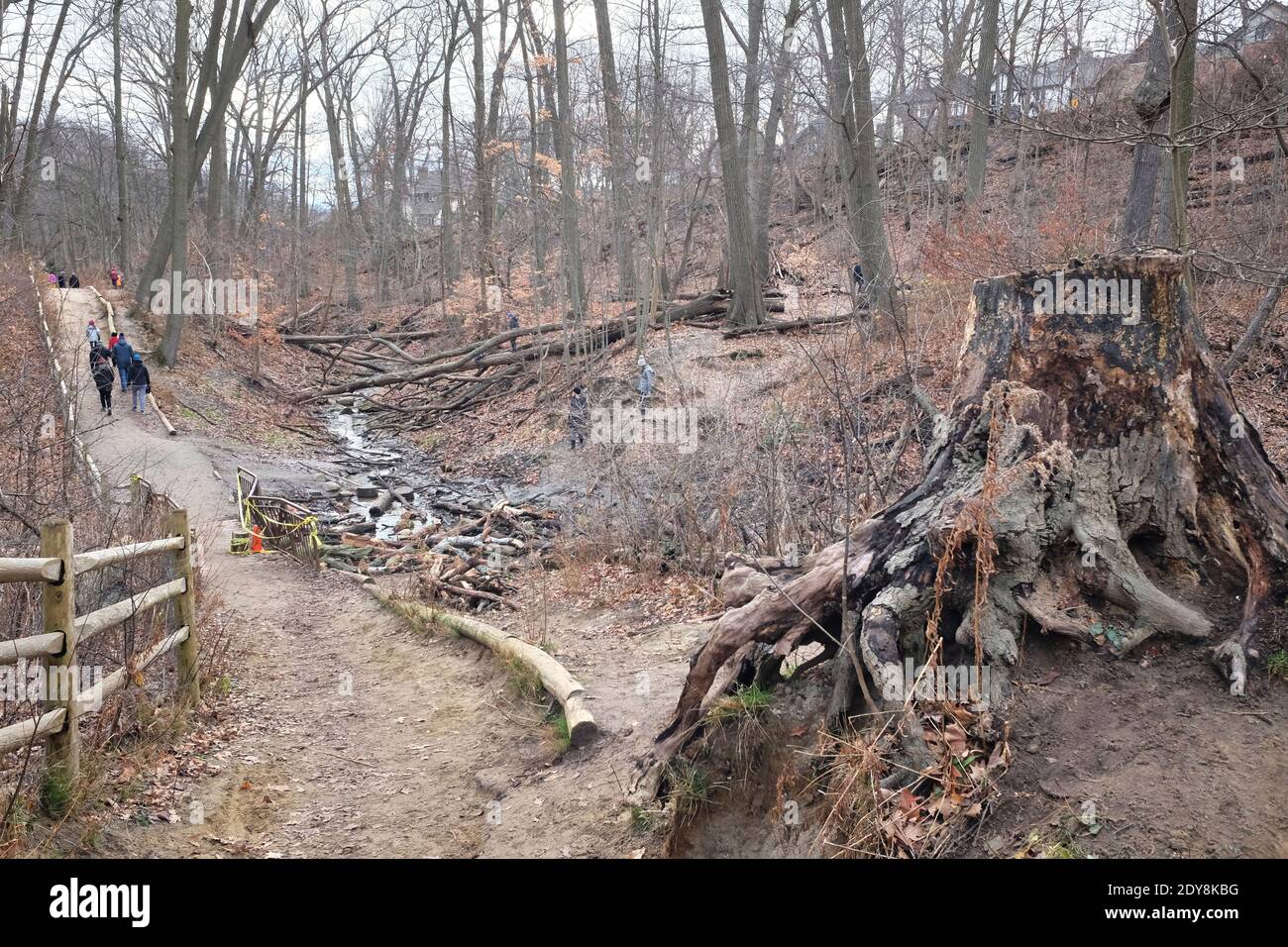 Toronto ravine trail Stock Photo - Alamy