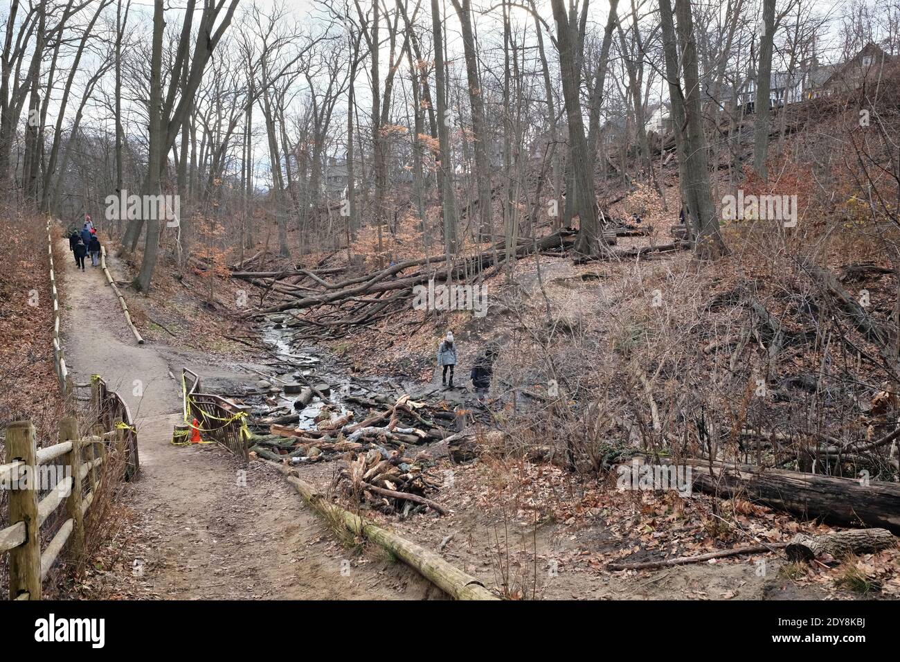 Toronto ravine trail Stock Photo - Alamy