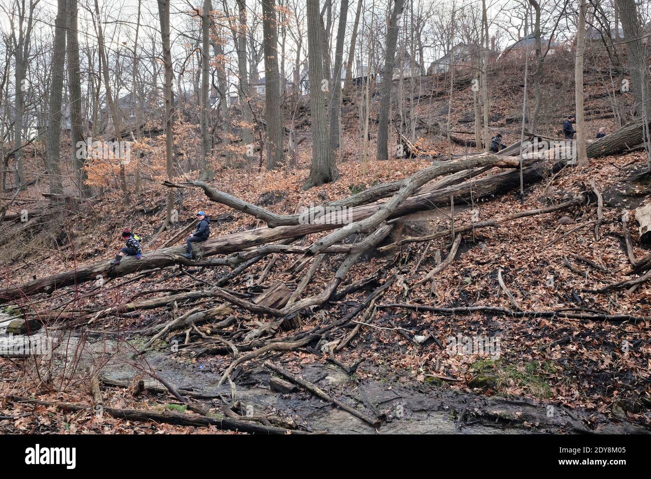 Toronto ravine trail Stock Photo - Alamy