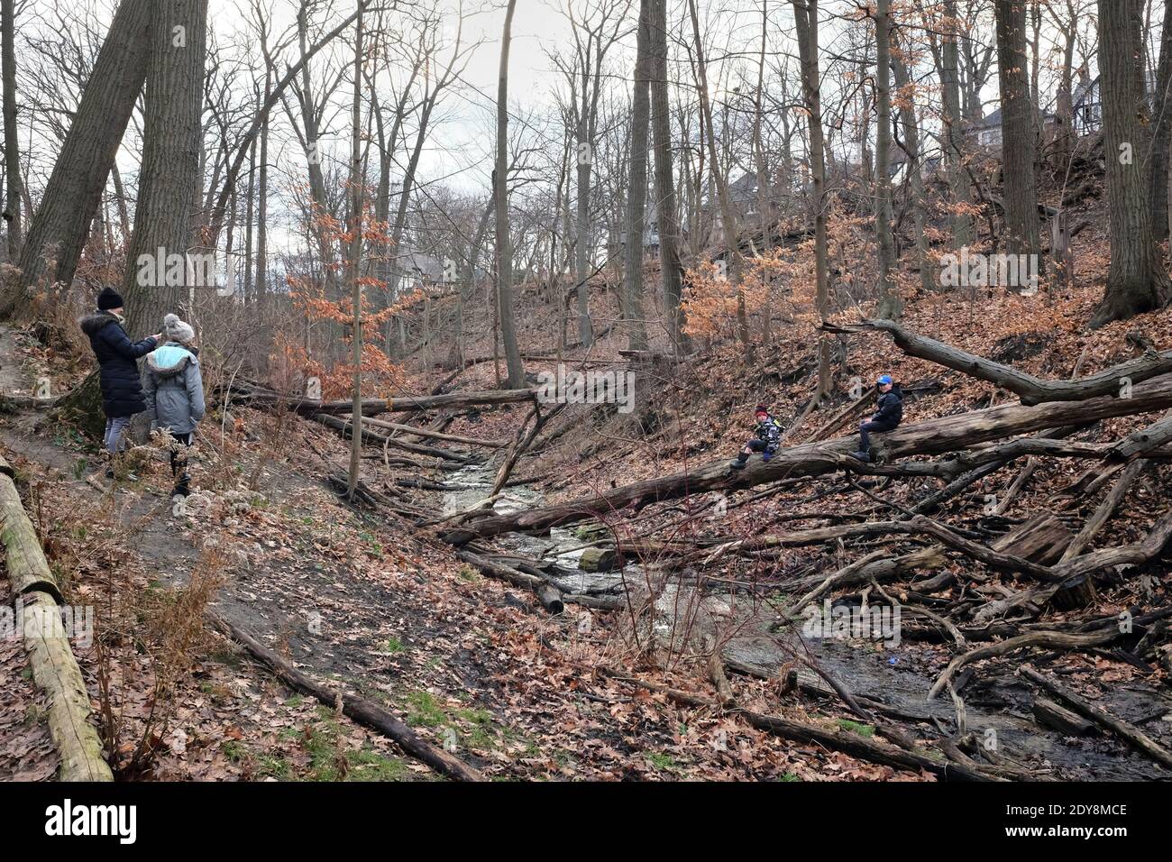 Toronto ravine trail Stock Photo - Alamy