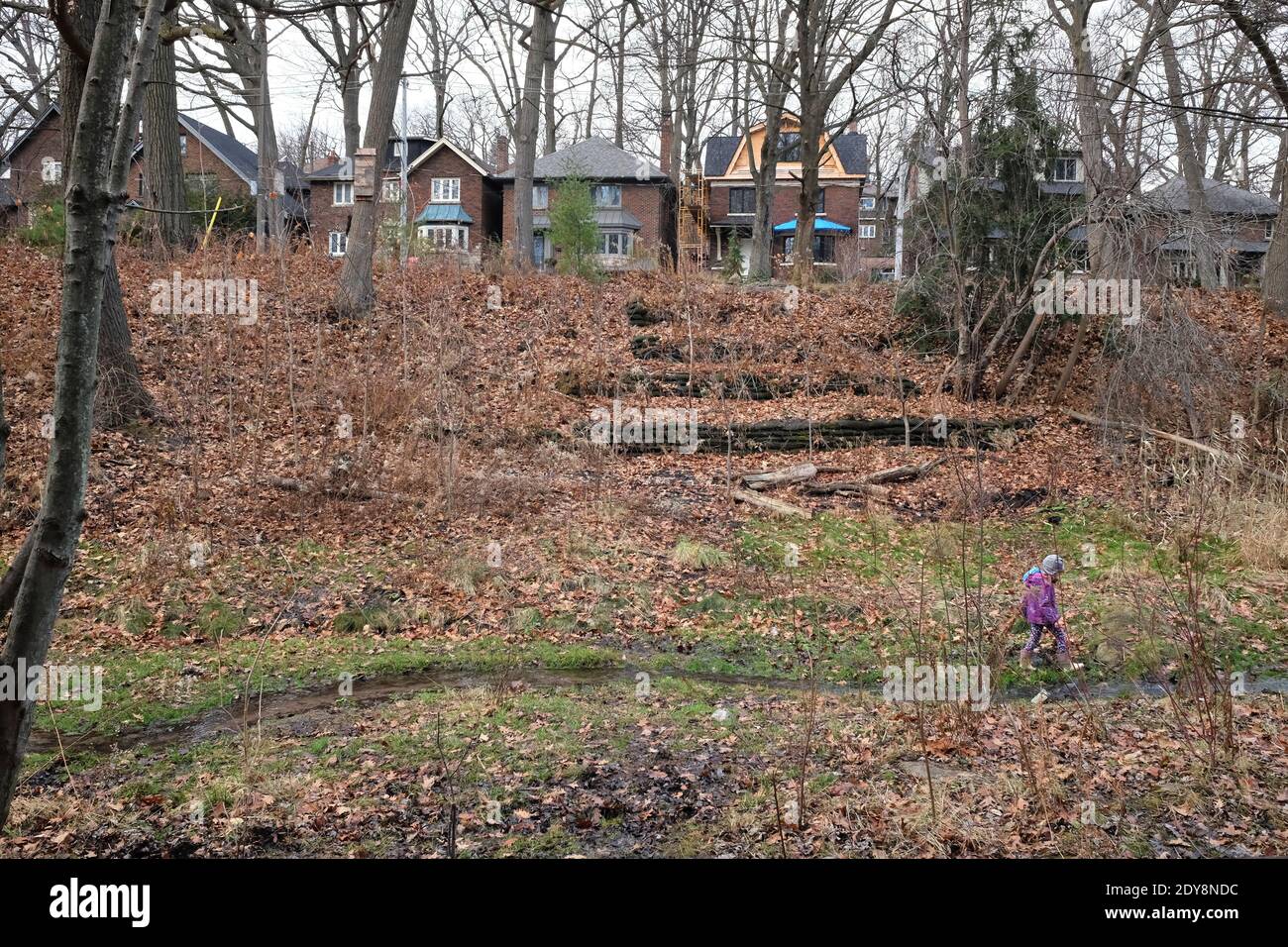 Toronto ravine trail Stock Photo - Alamy