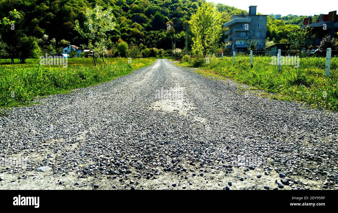 Surface Level Of Road Amidst Trees Stock Photo - Alamy