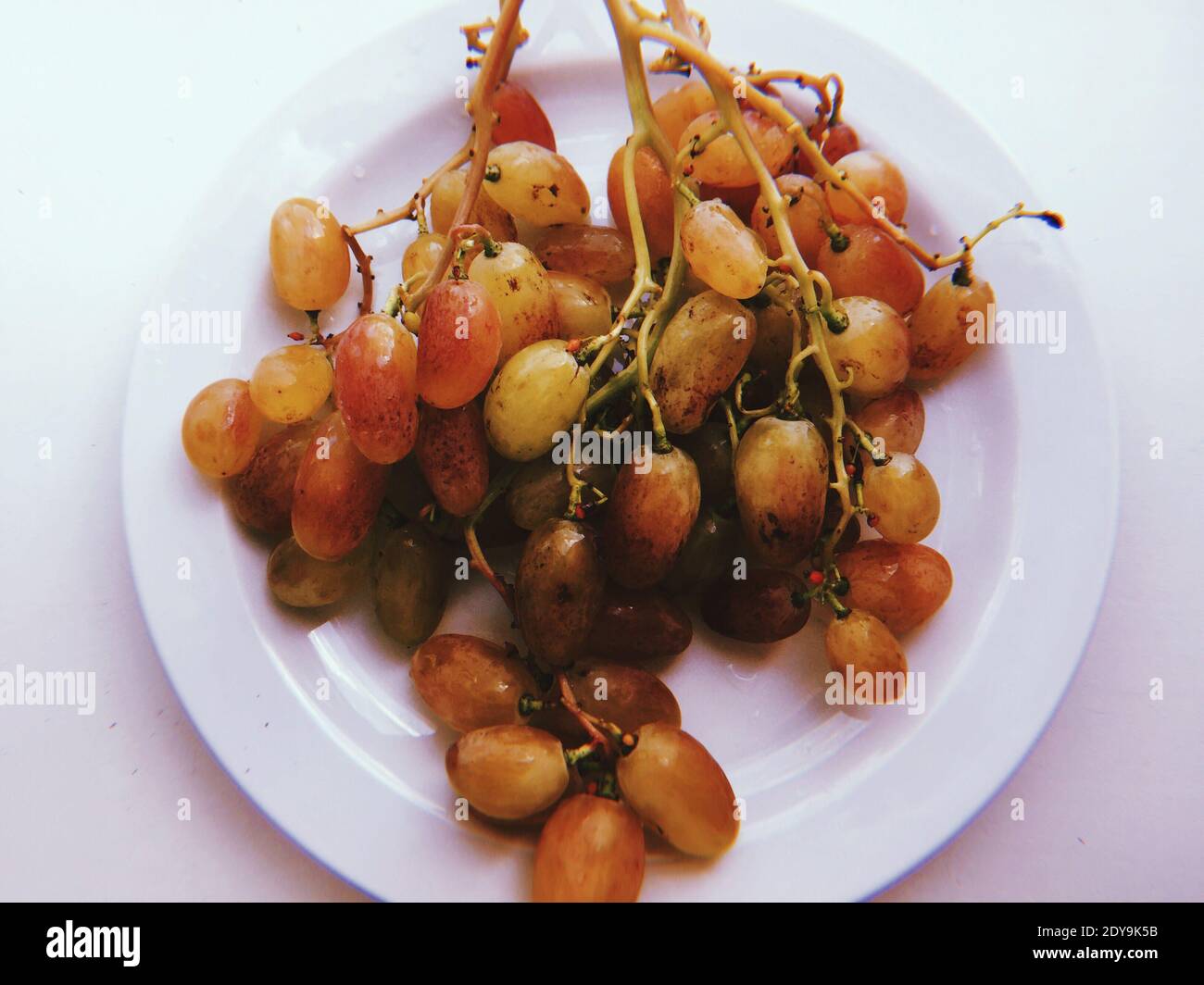 Rotten food plate hi-res stock photography and images - Alamy
