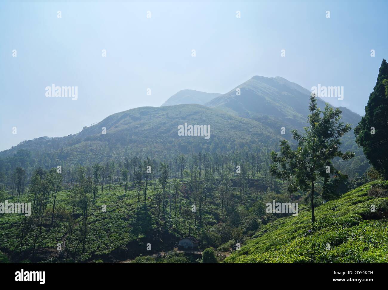 Chembra peak in wayanad, Kerala. Chembra Peak is one of the highest ...