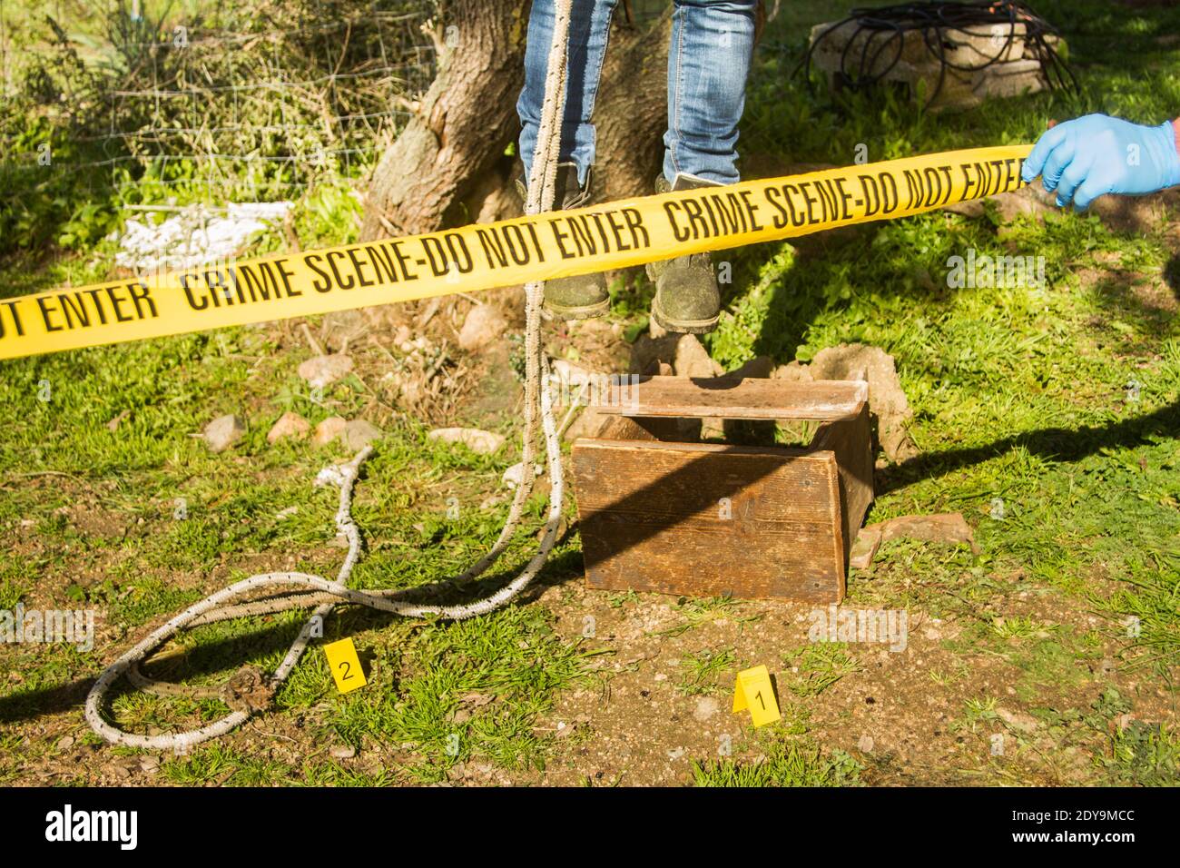 Noose hanging from tree hi-res stock photography and images - Alamy