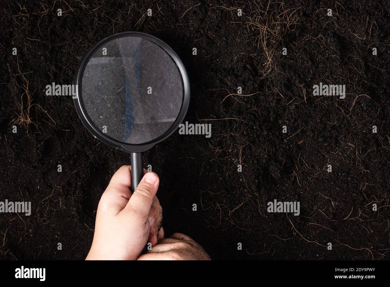 Top view of child hand hold magnifying glass for check black soil at ...