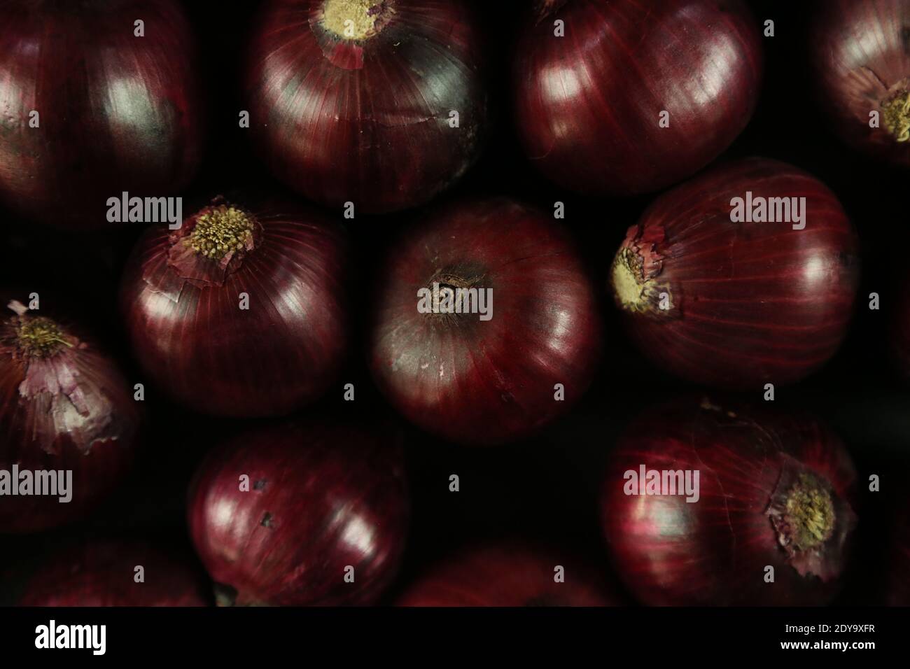 sweet red onions on background Stock Photo - Alamy