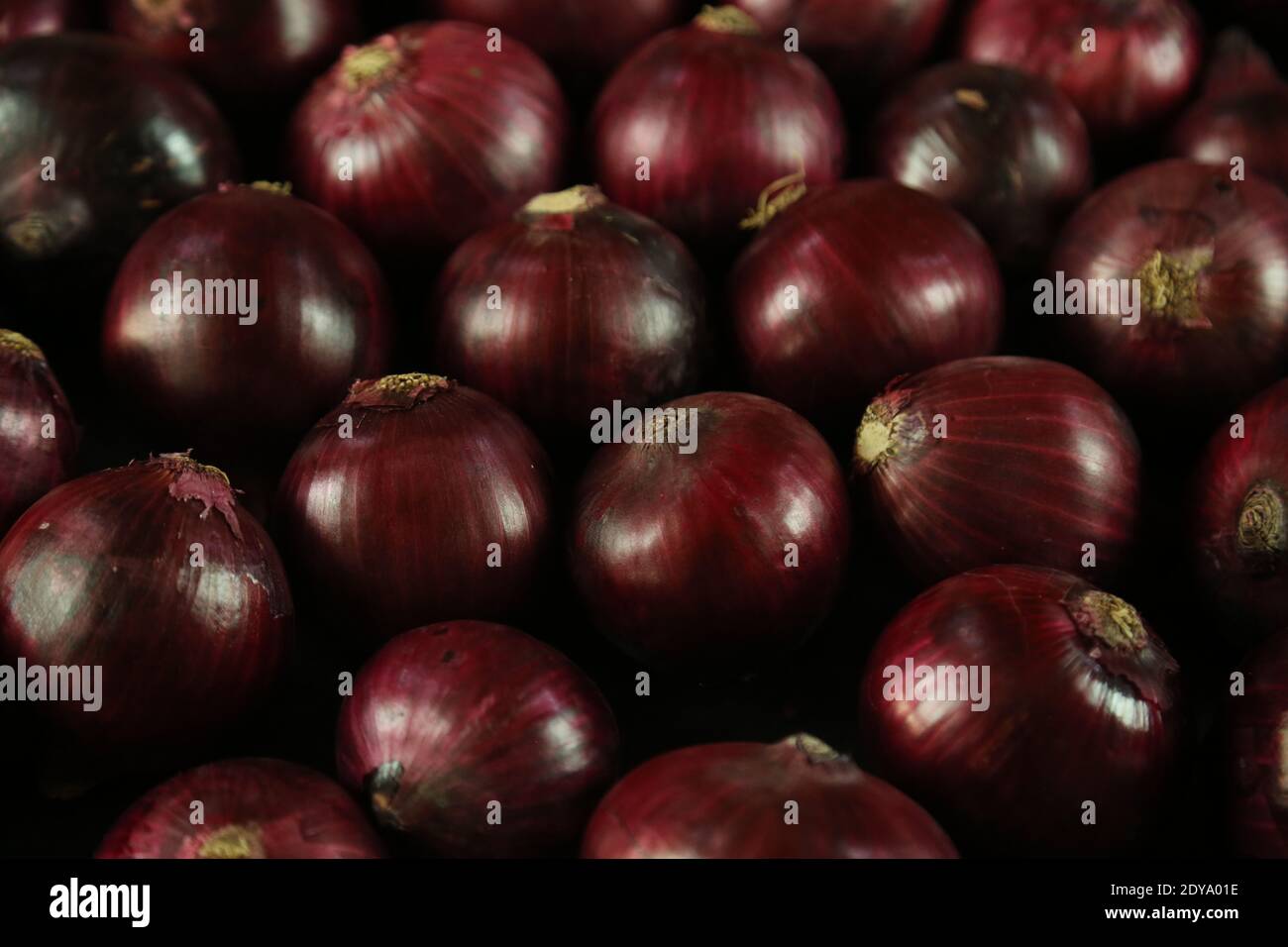sweet red onions on background Stock Photo - Alamy