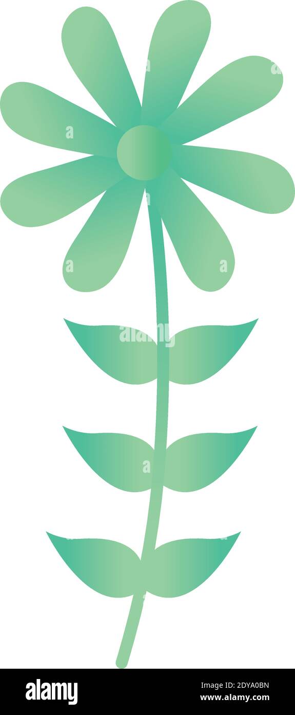 Colorful azalea in botanical Stock Vector Images - Alamy