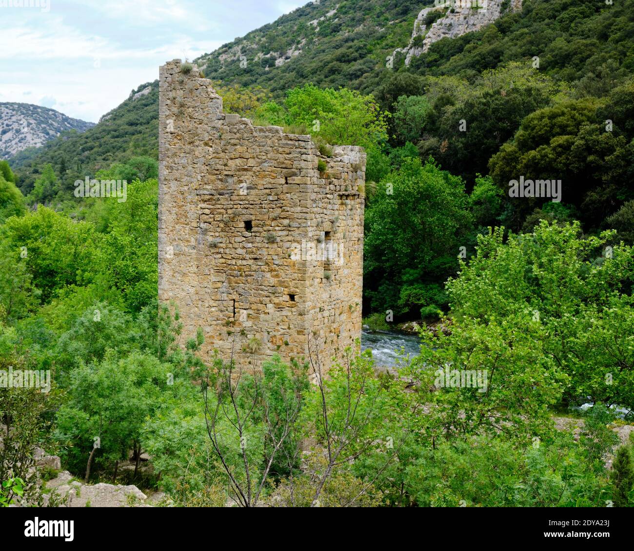 Old abandoned ruin tower in south of France Stock Photo - Alamy