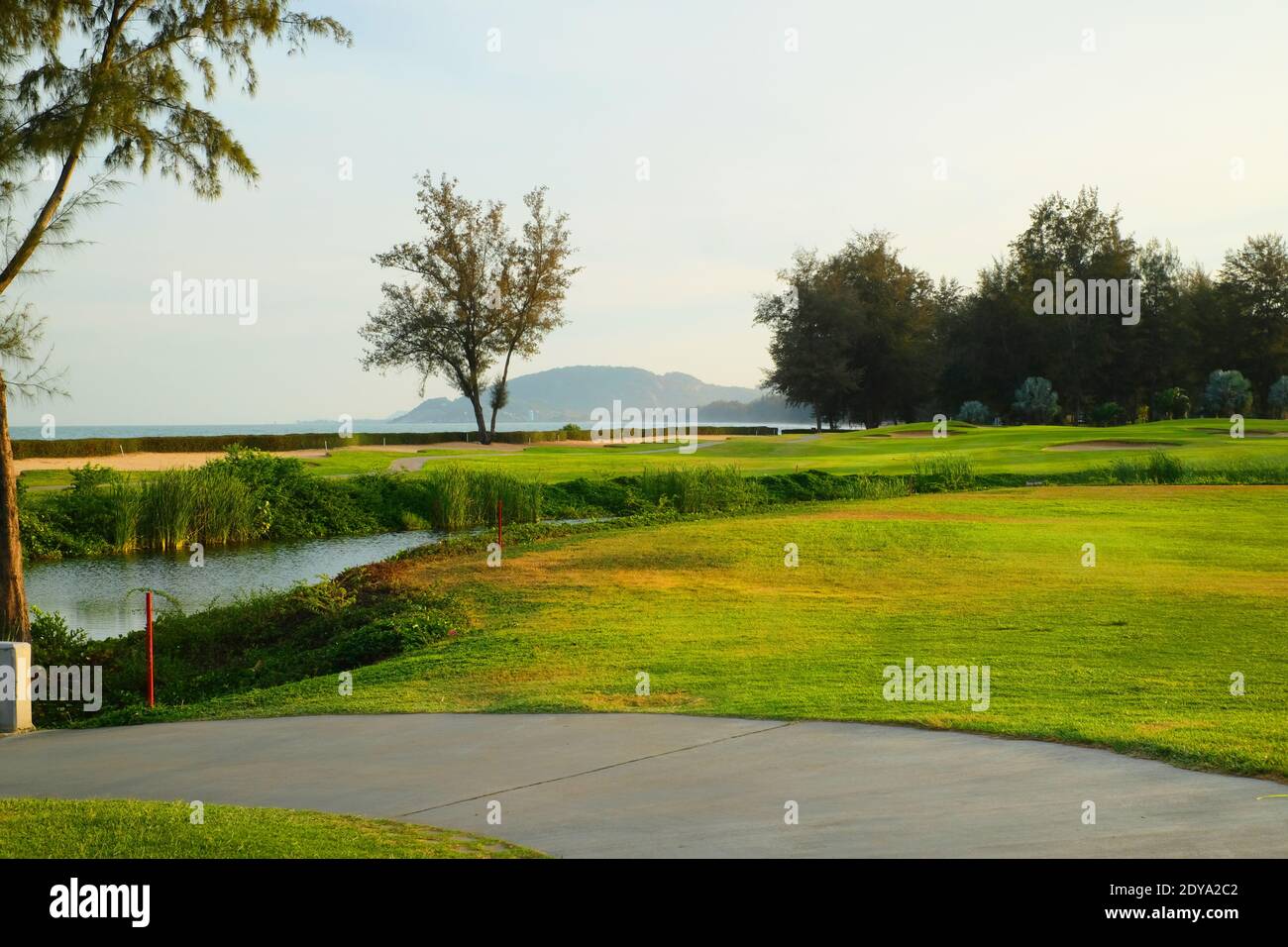 Path walk amid green on greenery trees Stock Photo - Alamy