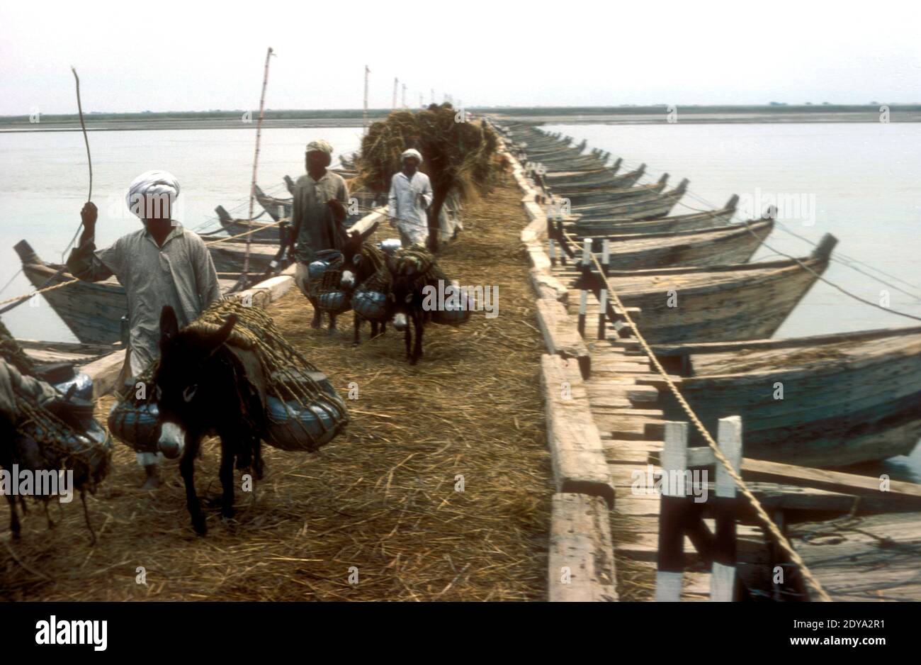 Milkmen crossing a bridge of boats Dera Ismail Khan, Pakistan, 1979 ...