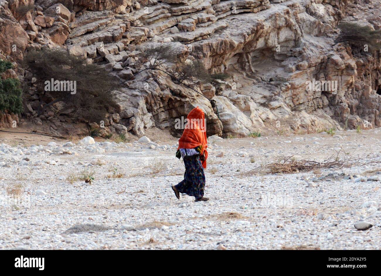 A veiled Omani woman walking in the Wadi Stock Photo - Alamy