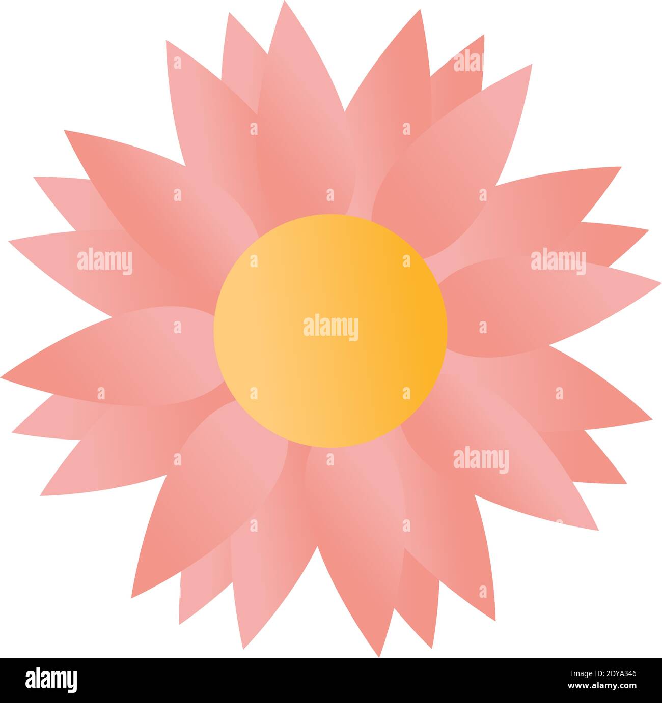 sunflower with a ligth pink color Stock Vector Image & Art - Alamy