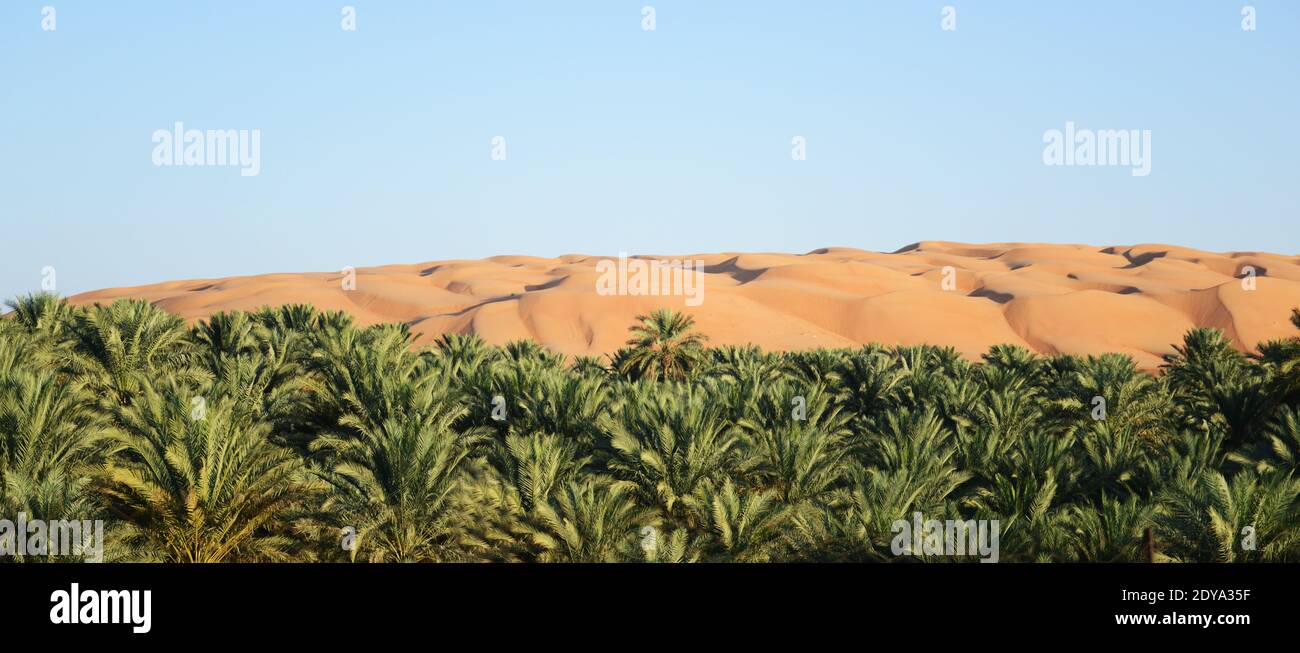 Desert landscapes in Oman Stock Photo - Alamy
