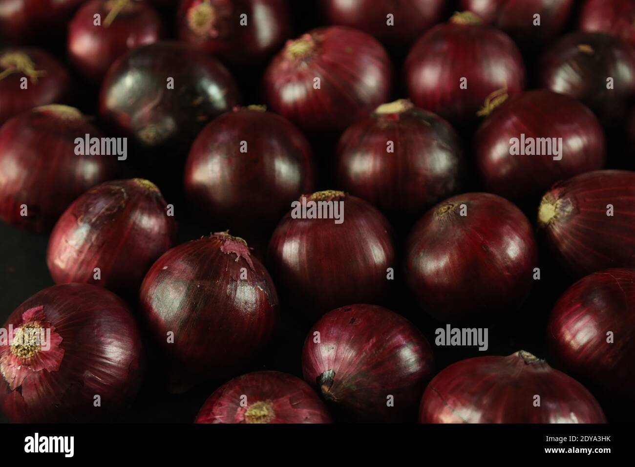 sweet red onions on background. High quality photo Stock Photo - Alamy