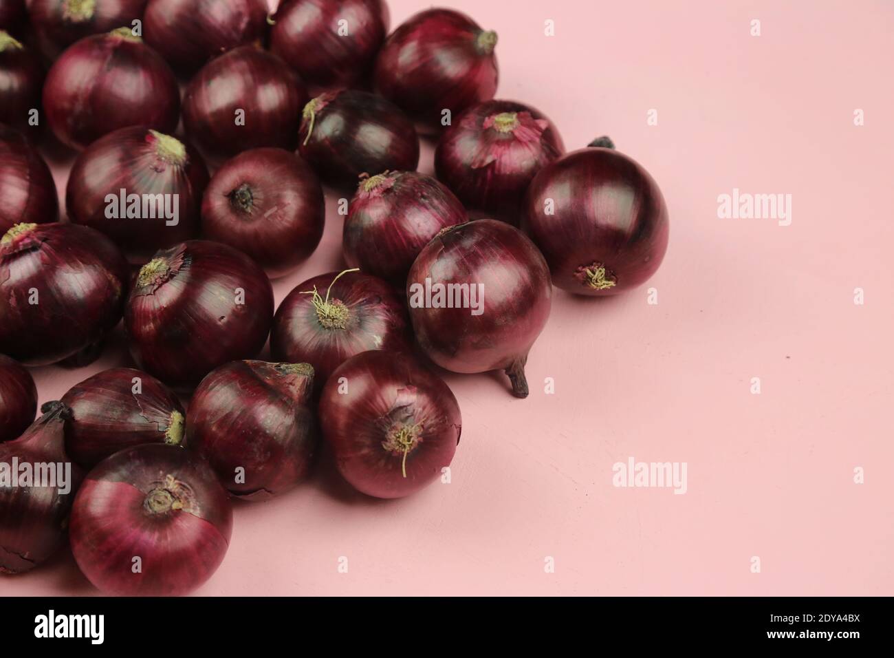 sweet red onions on background. High quality photo Stock Photo - Alamy