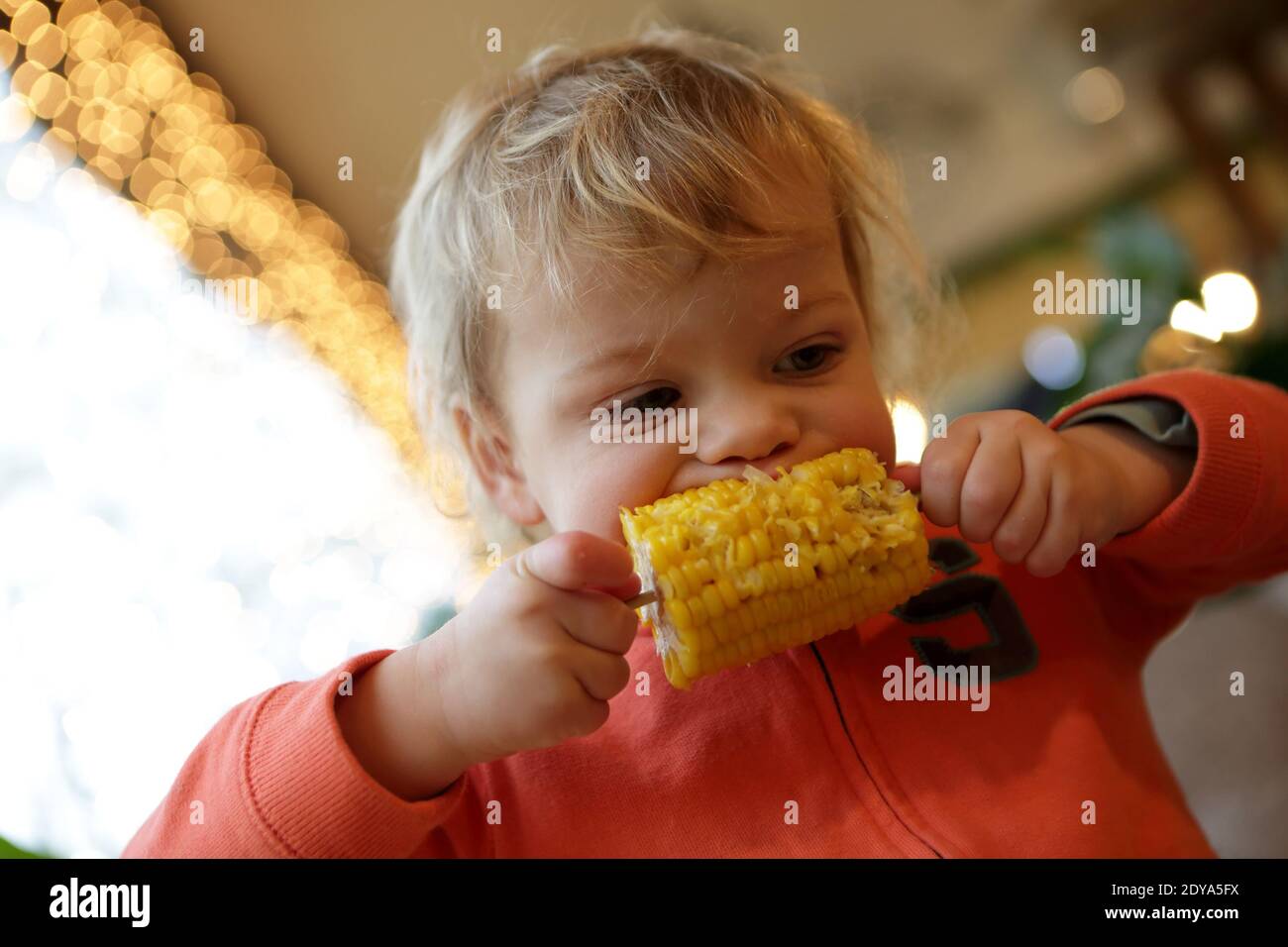 Child eating cob corn in a restaurant Stock Photo - Alamy