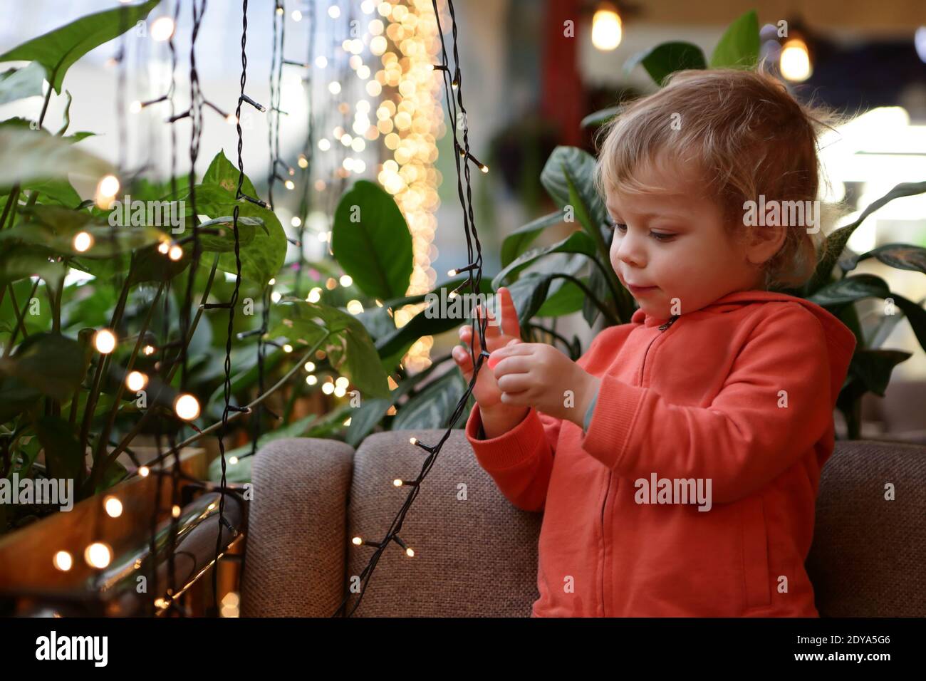 Kid touching lamp garland in a cafe Stock Photo - Alamy