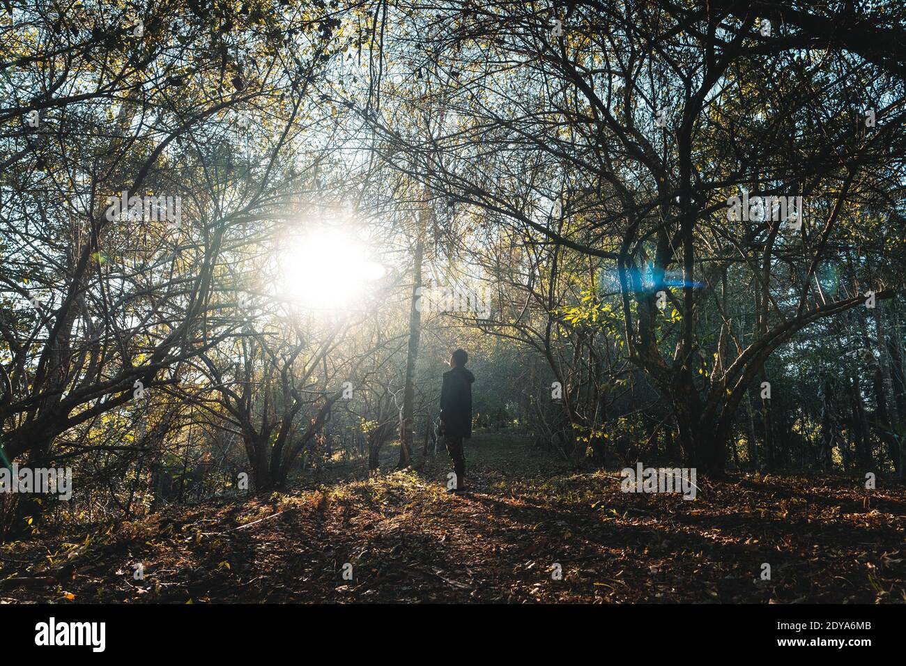 Sunset Mountain view and sunset light Stock Photo - Alamy