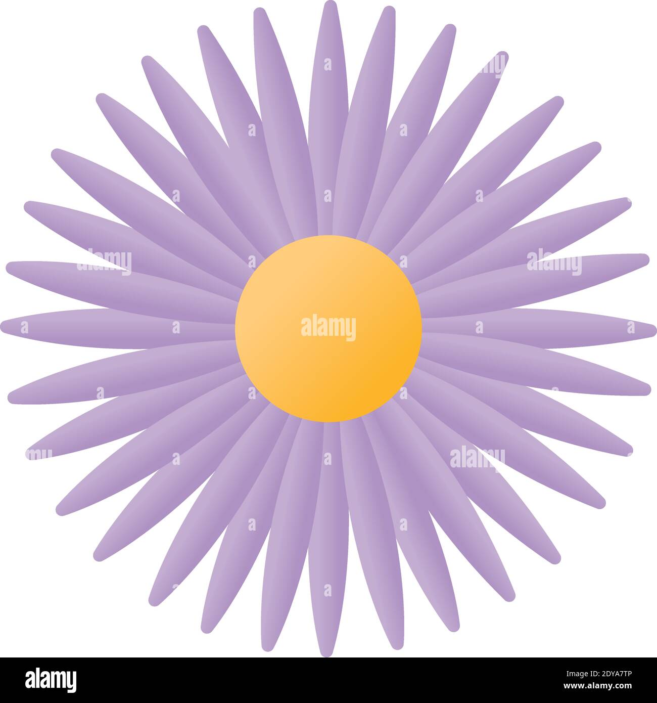 sunflower with a purple color Stock Vector Image & Art - Alamy