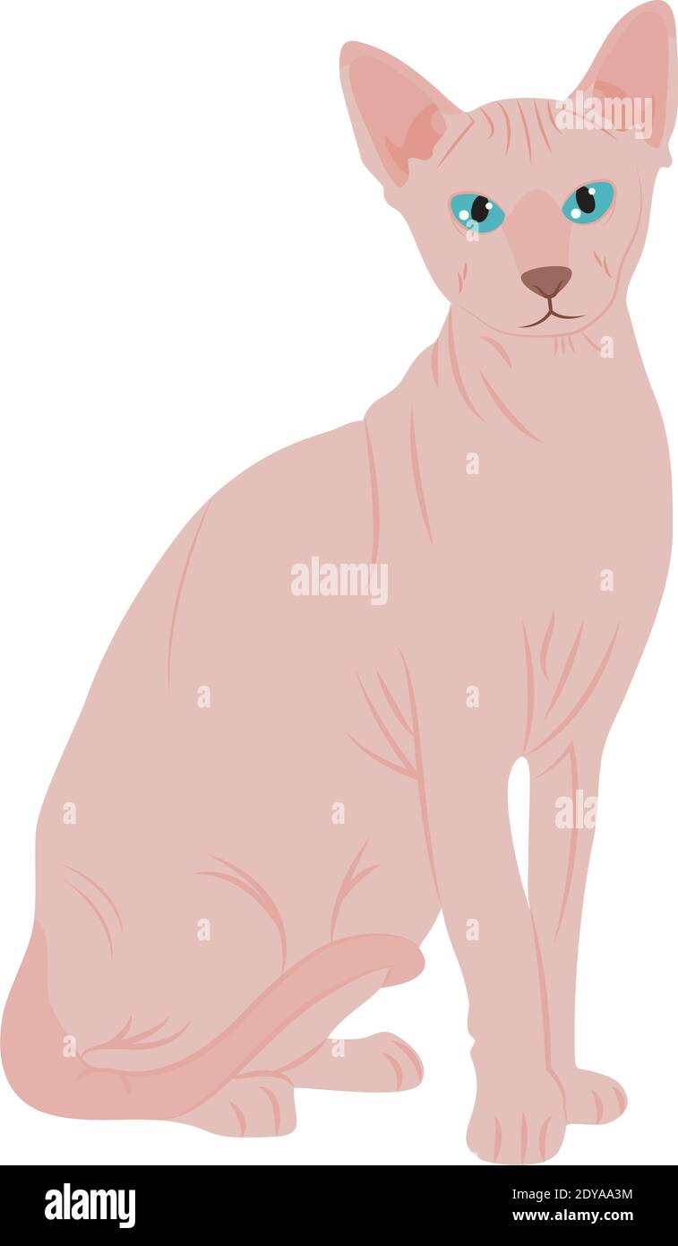 cartoon sphynx cat icon over white background, colorful design, vector ...