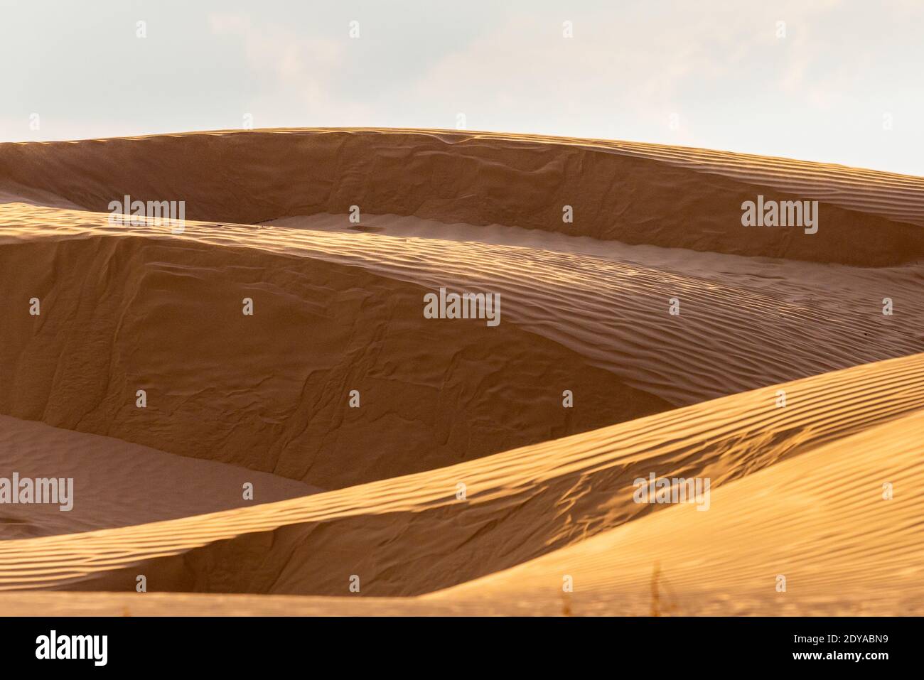 Huge dunes of the desert. Beautiful structures of sandy barkhan or sand ...