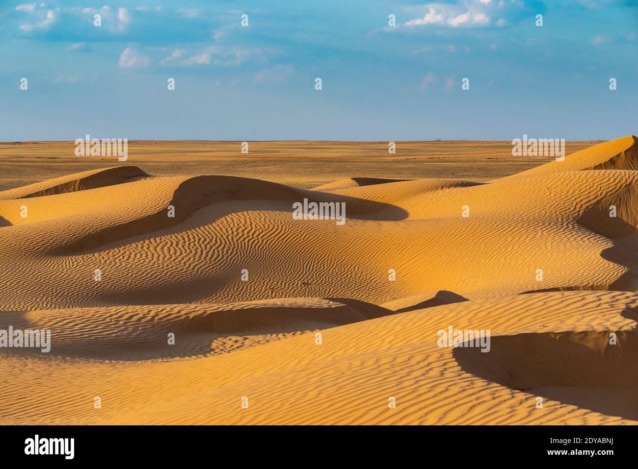 Huge dunes of the desert. Beautiful structures of sandy barkhan or sand ...