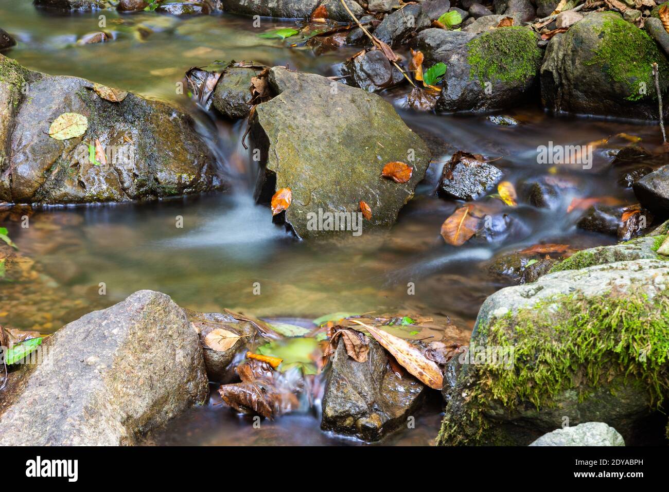 Close-up of the waterfall movement. The stream of water flows around ...