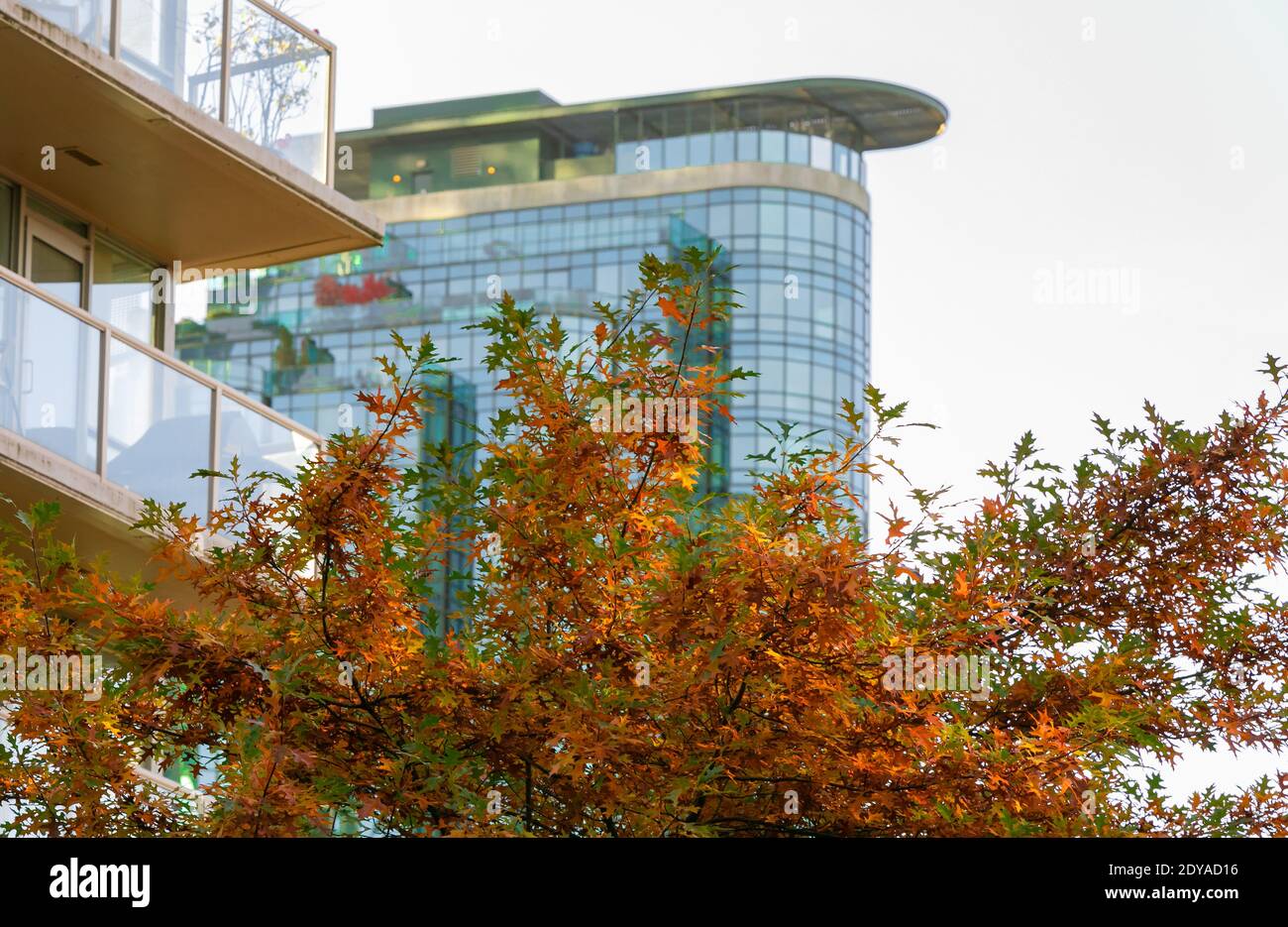 Landscape of autumn trees in the background of a modern architecture ...
