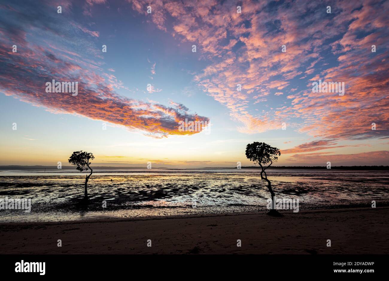 Spectacular sunrise on the beach at Poona, Fraser Coast Region ...