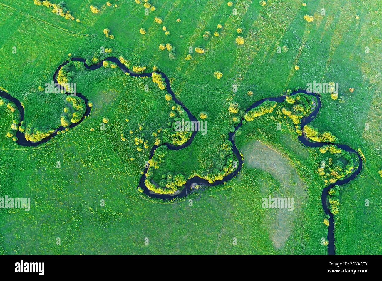 An aerial view of the emerald Hulunbuir Teni River Wetland, an eco ...