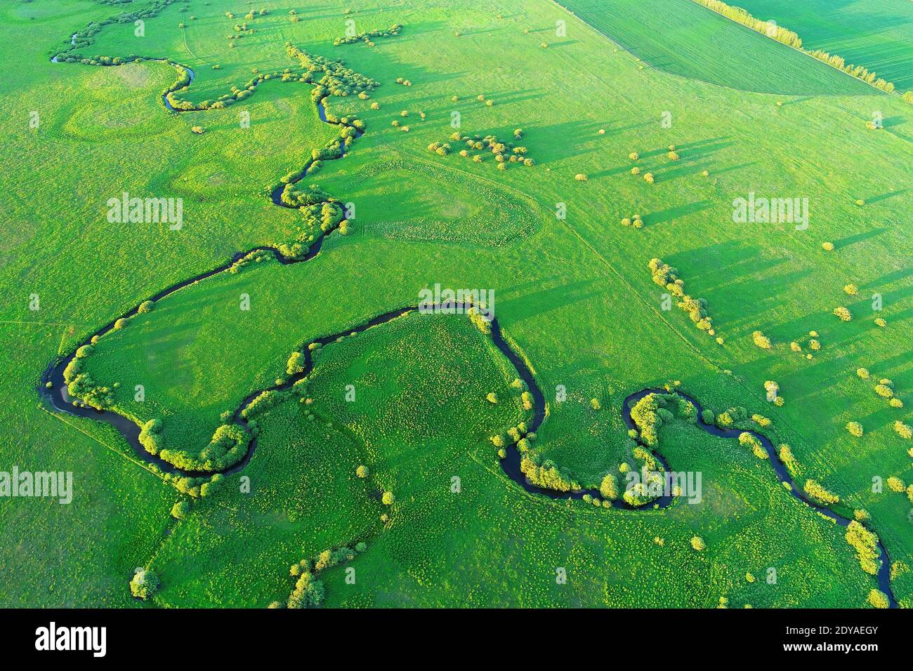 An aerial view of the emerald Hulunbuir Teni River Wetland, an eco ...