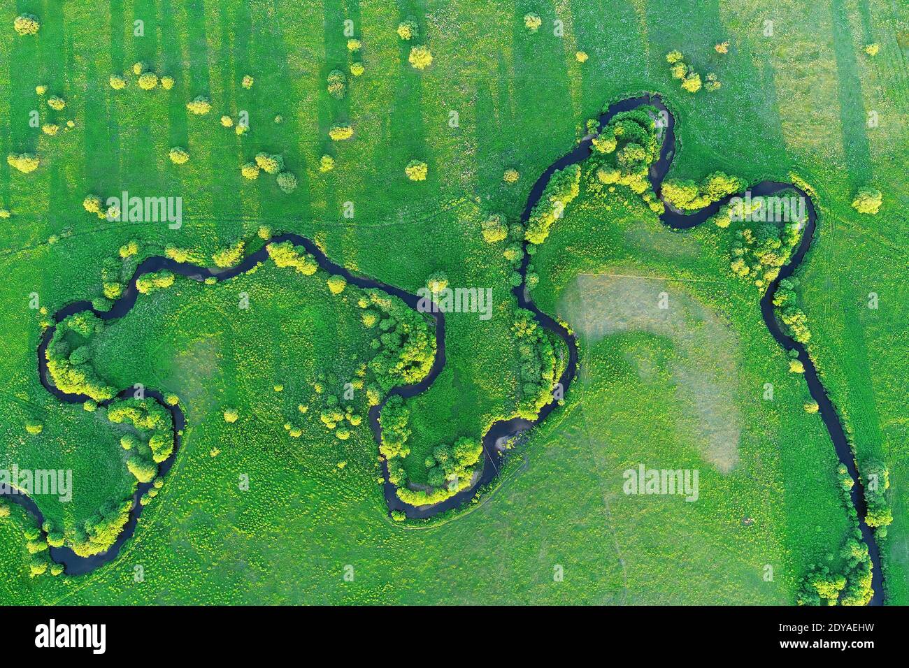 An aerial view of the emerald Hulunbuir Teni River Wetland, an eco ...