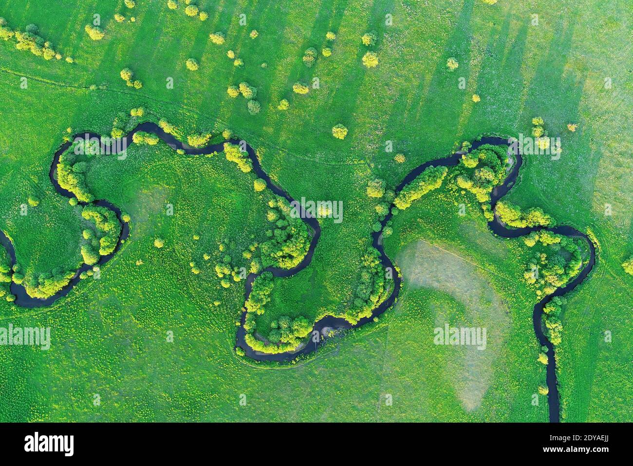 An aerial view of the emerald Hulunbuir Teni River Wetland, an eco ...