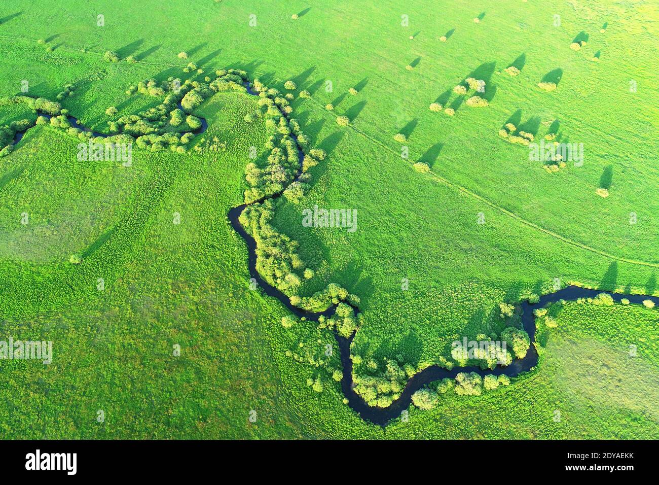 An aerial view of the emerald Hulunbuir Teni River Wetland, an eco ...