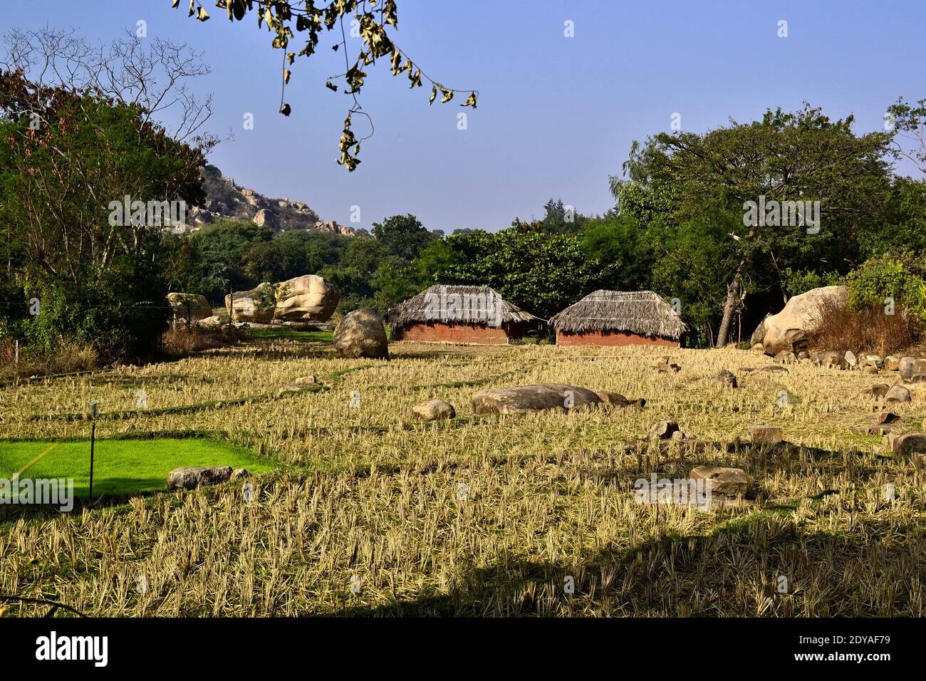 Indian rural village houses hi-res stock photography and images - Alamy
