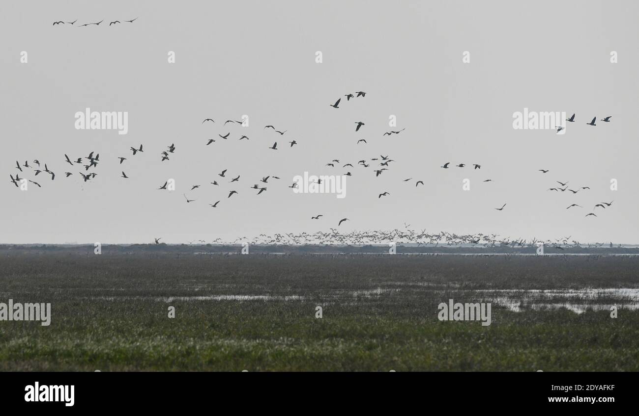 The magnificent sight of China's largest freshwater lake, Poyang Lake ...