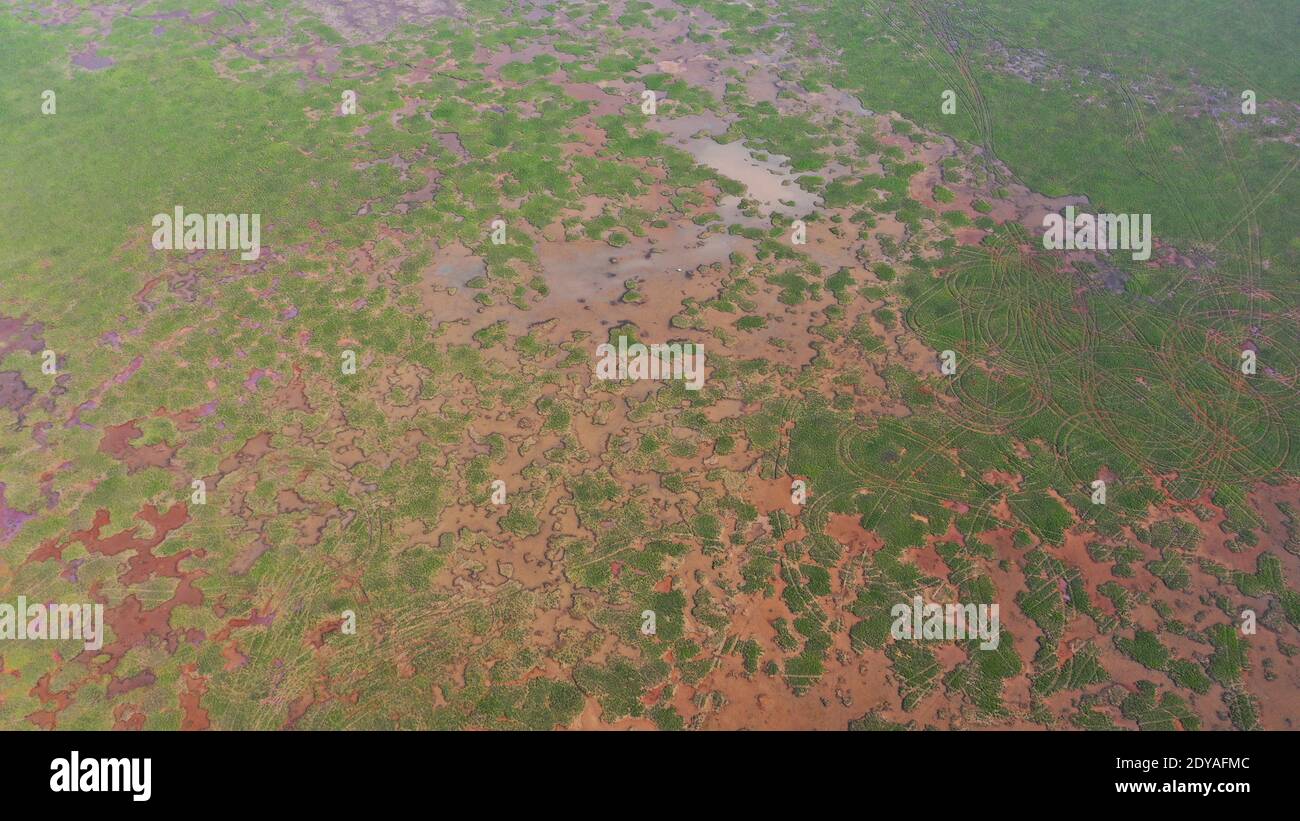 The magnificent sight of China's largest freshwater lake, Poyang Lake ...